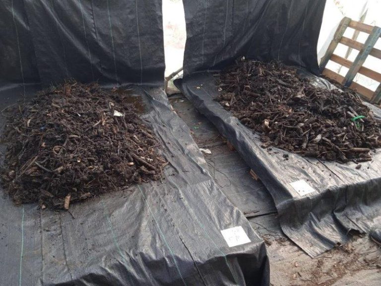 Application of Microorganisms to Improve the Composting Products of ...