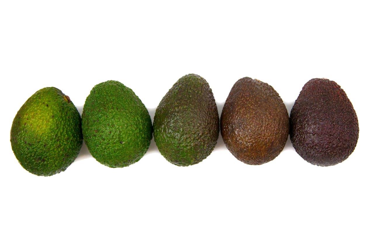 Introducing in Israel: An Avocado Laboratory will Test the Ripeness of ...