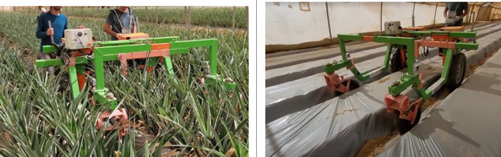 The Planning, Installation and Adjustment of an Electric Sprayer ...