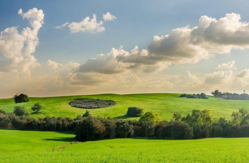 Tracking Agricultural Phenology in Northern Negev (Shikma Farm) with ...